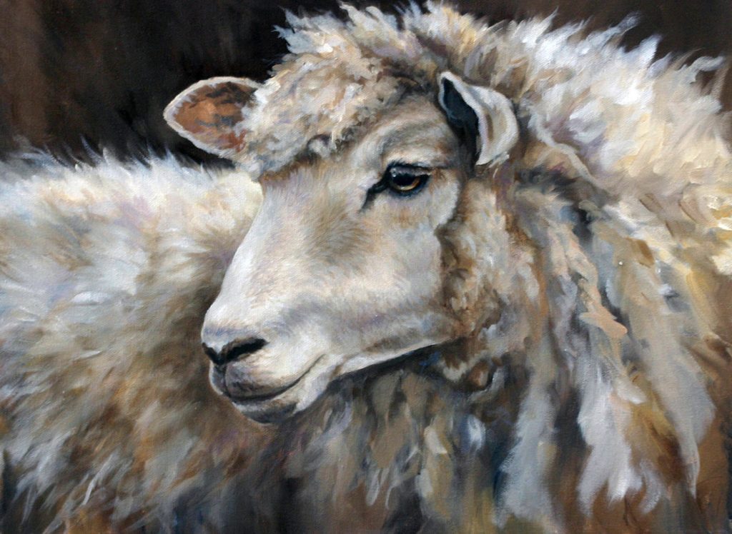Sheep - Lynda Cunningham